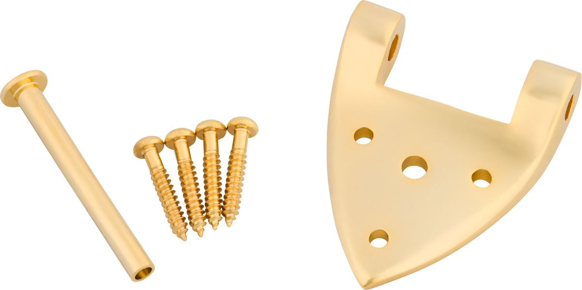 Bigsby Hinge Kit with Hinge Pin and Screws, Gold, 0890G, 0061719006 – Angela Instruments