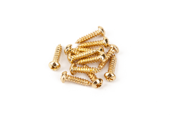 Fender Tuning Machine Mounting Screws, Gold, (12), 0018823049 – Angela ...